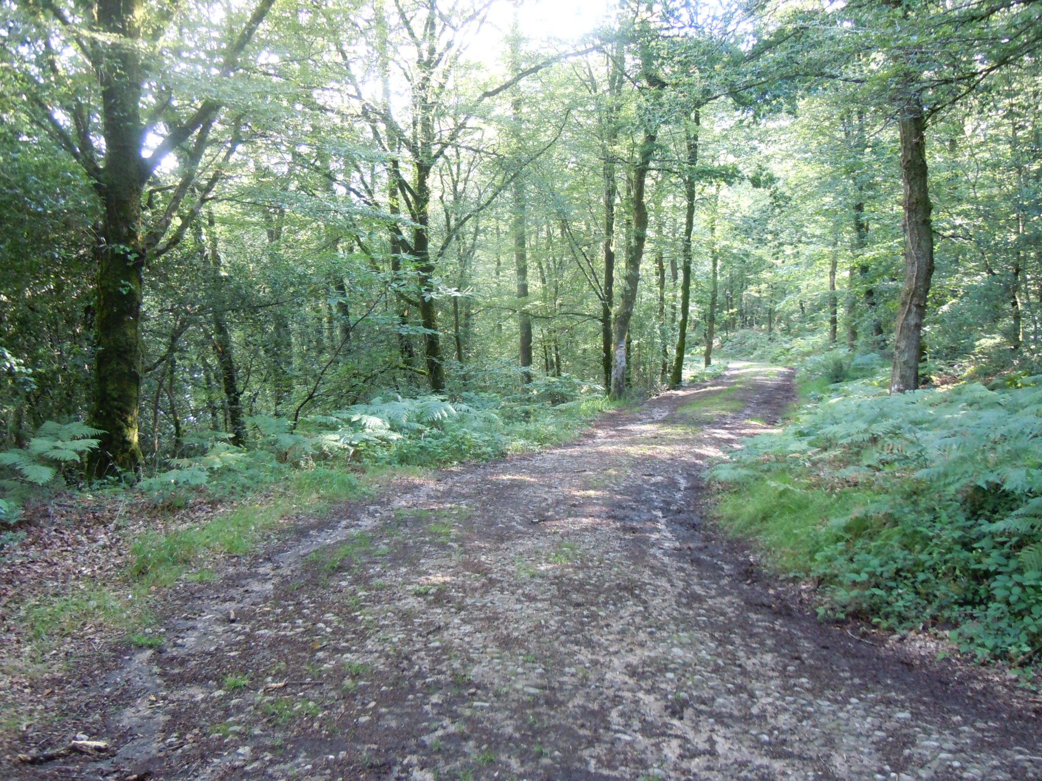 Sentier piéton fermé de long de la Trouille - Ecolo Mons